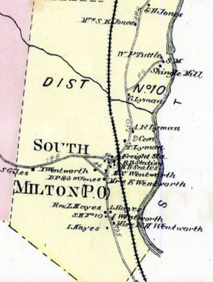 Last Will of Luther Hayes (1820-1895) – Milton Observer